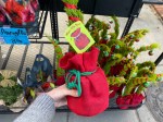 Trader Joe's Sells Grinch-Inspired Christmas Trees