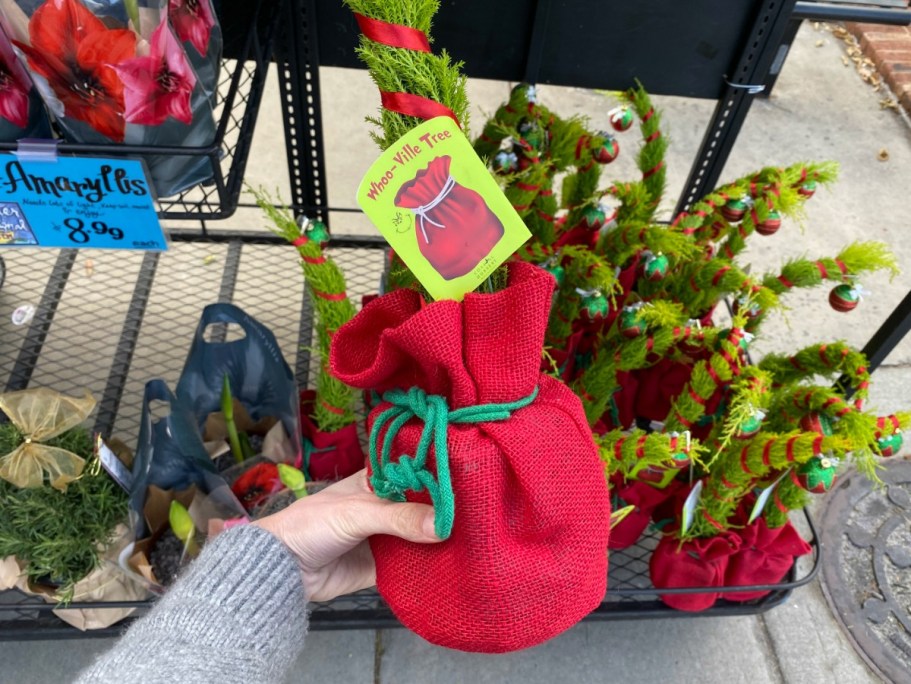 Trader Joe's Sells Grinch-Inspired Christmas Trees