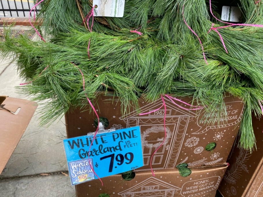 Trader Joe's Sells Grinch-Inspired Christmas Trees