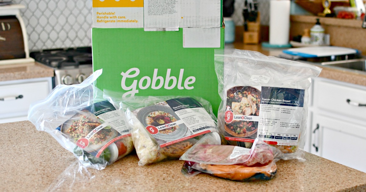 Our Honest Review of Gobble Meals - Ready in 15 Minutes?! | Hip2Save