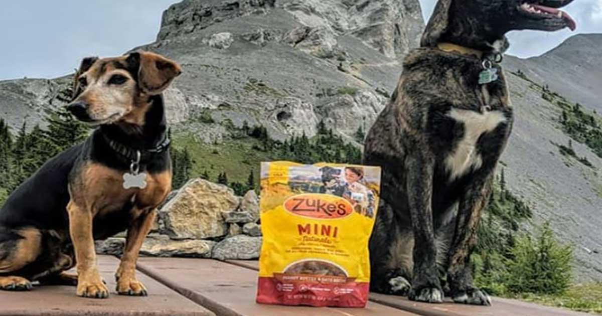 Zuke's Natural Training Dog Treats Only $2.53 Shipped on Amazon