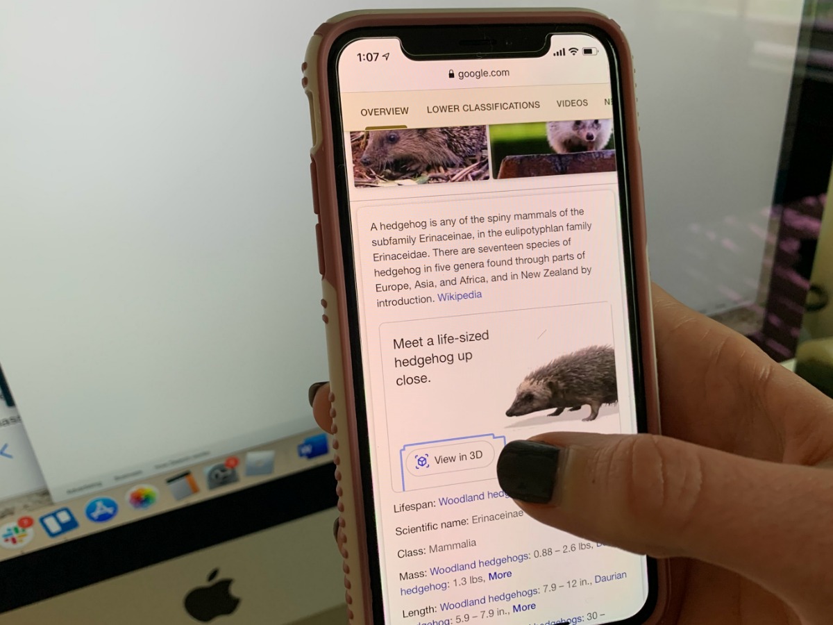 Take an In-Home Safari with Google's 3D Animals (It's Free & Awesome ...