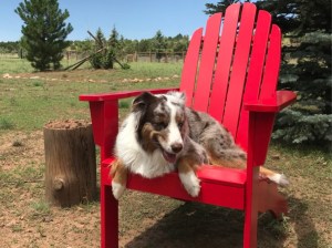 World Market Adirondack Chairs Only $77.99 Shipped (Regularly $130)