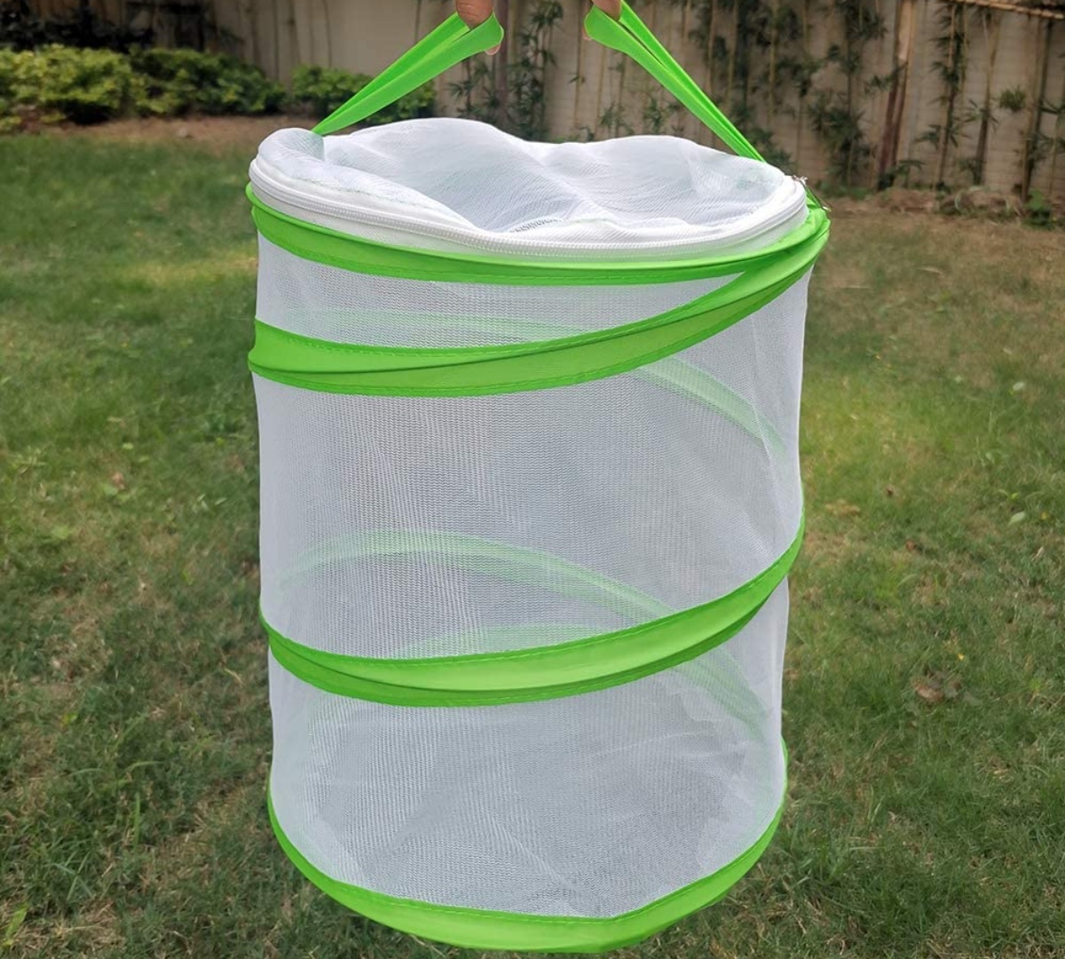 5 Best Butterfly Habitats Available on Amazon | Hip2Save