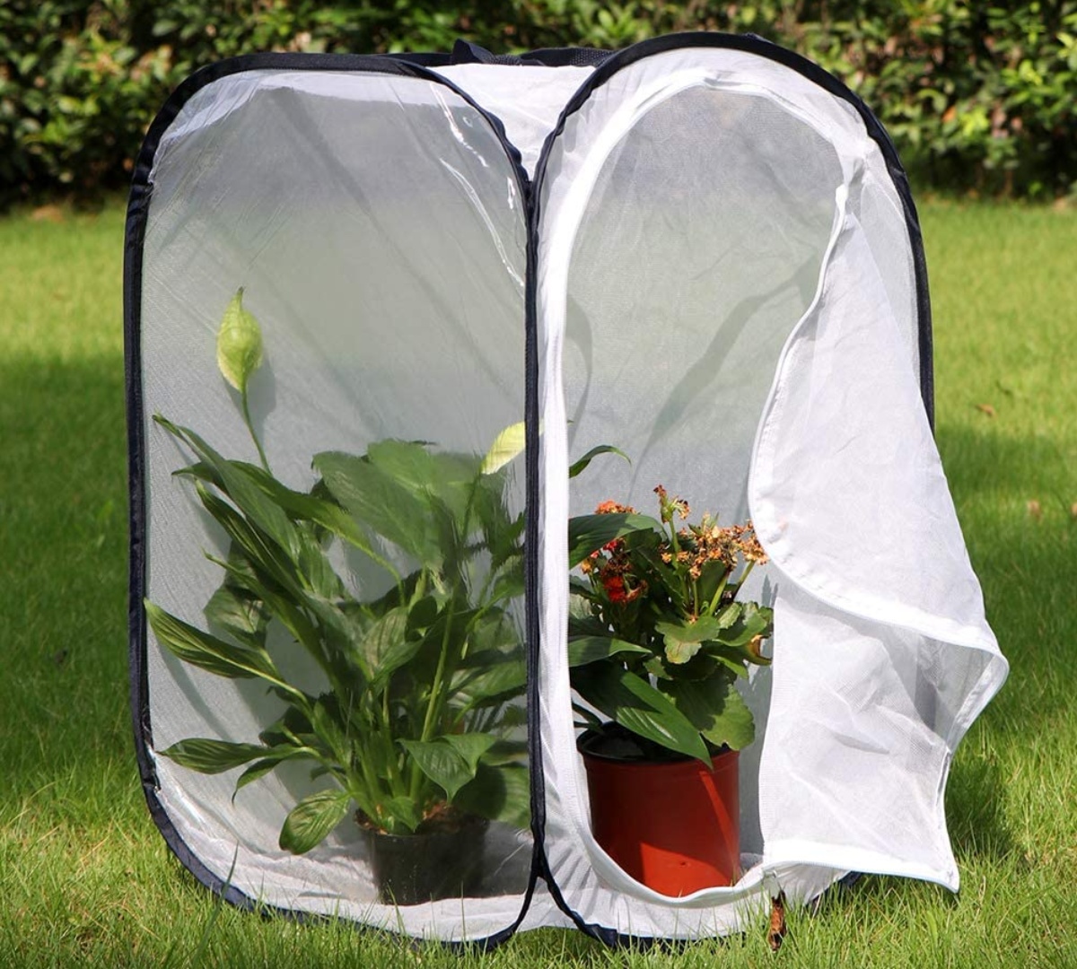 5 Best Butterfly Habitats Available on Amazon | Hip2Save