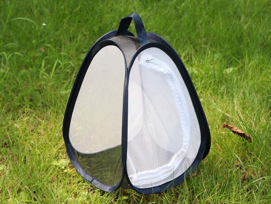 5 Best Butterfly Habitats Available on Amazon | Hip2Save