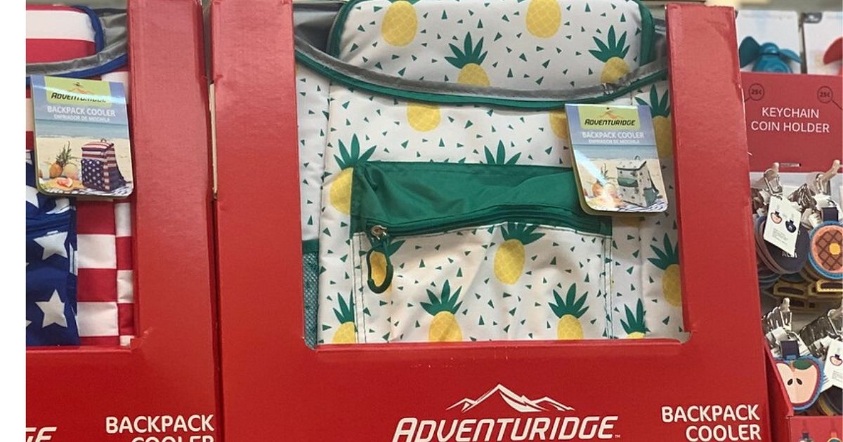 Adventuridge Backpack Cooler Just $9.99 at ALDI