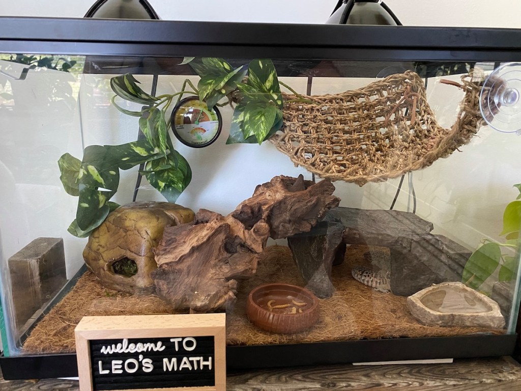 Teachers Get A Classroom Pet For Free Here s How Hip2Save teachers-get-a-classroom-pet-for-free-here-s-how-hip2save