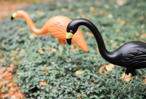 Decorate Your Yard with these Spooky Zombie Flamingos