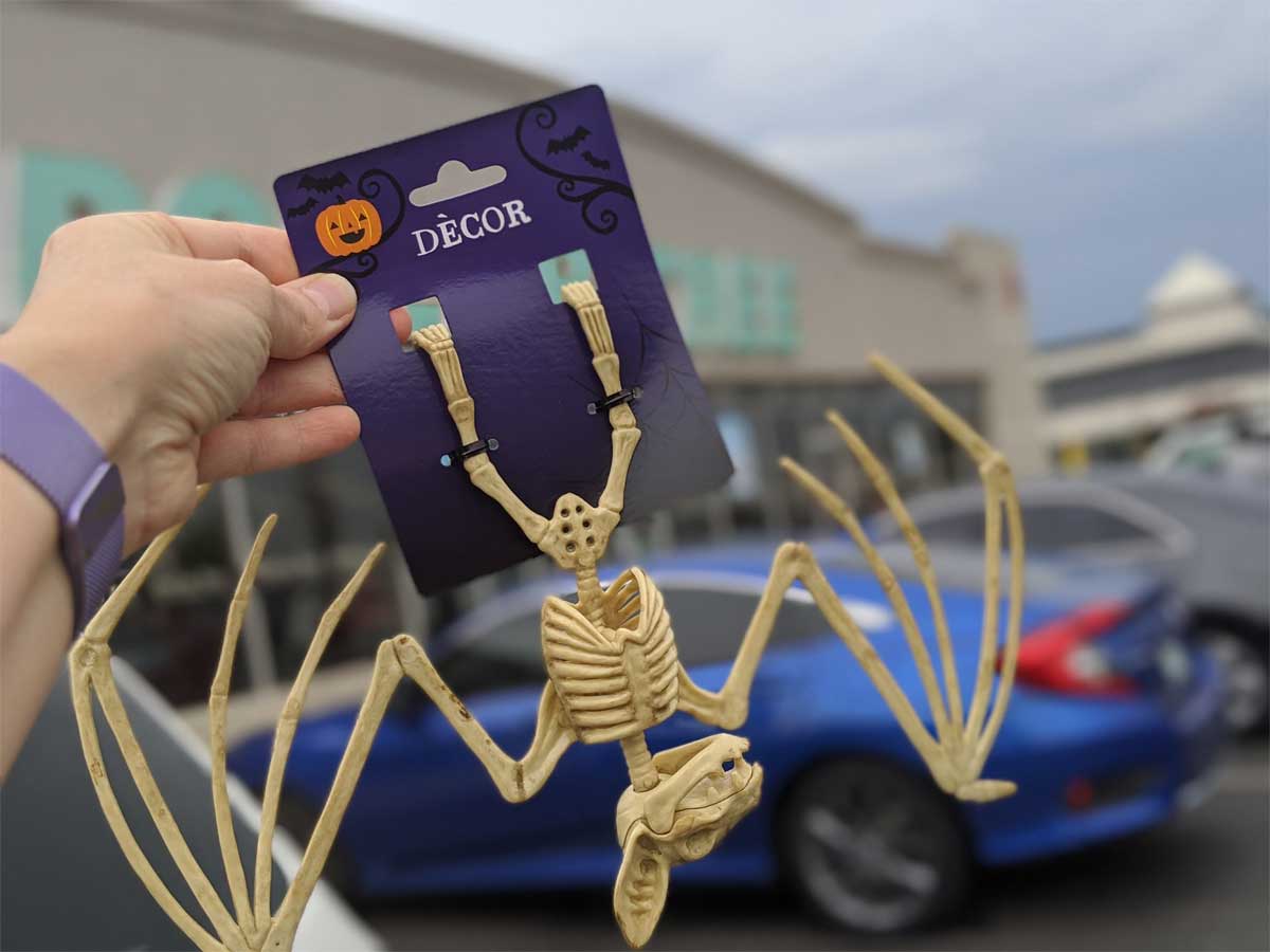 Creepy Skeleton Decor Only $1 at Dollar Tree | In-Store & Online