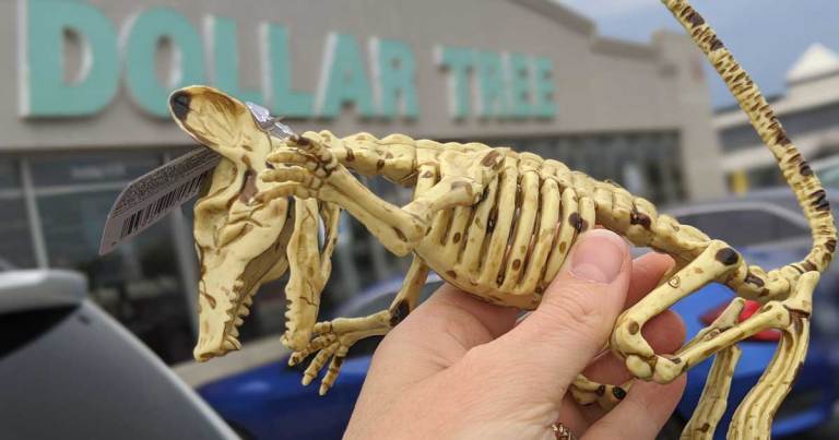 Creepy Skeleton Decor Only $1 at Dollar Tree | In-Store & Online