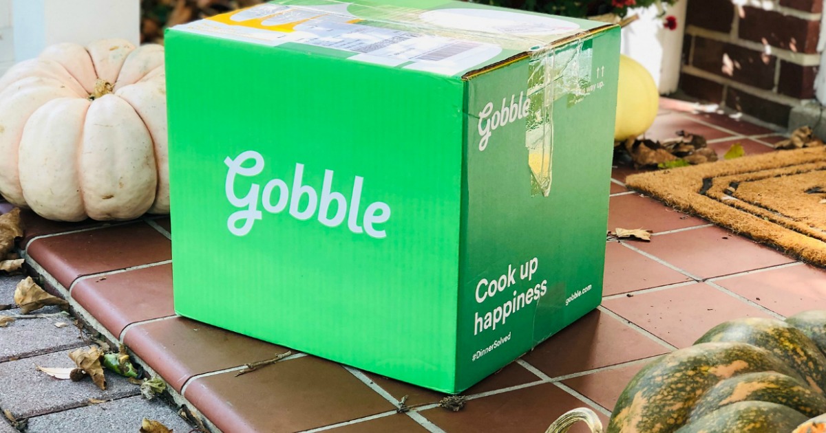Our Honest Review of Gobble Meals - Ready in 15 Minutes?! | Hip2Save