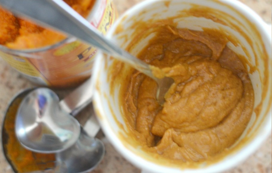 The Easiest Pumpkin Spice Mug Cake Recipe | Hip2Save