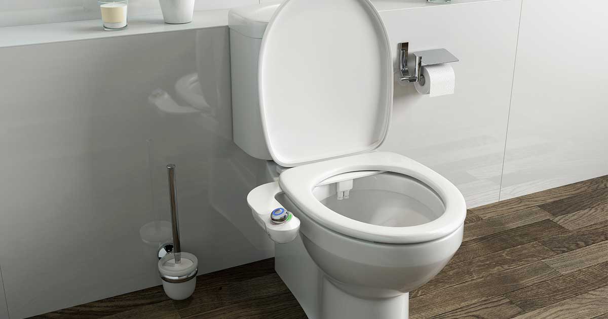 Buy the Best Bidet for a Better Bathroom (Starting at $26!)