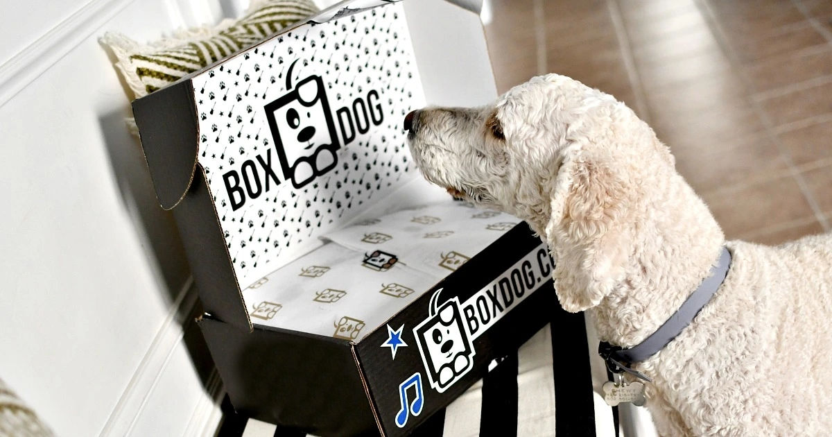 BoxDog Dog Subscription Box Latest Offer | FREE Pouch Bag