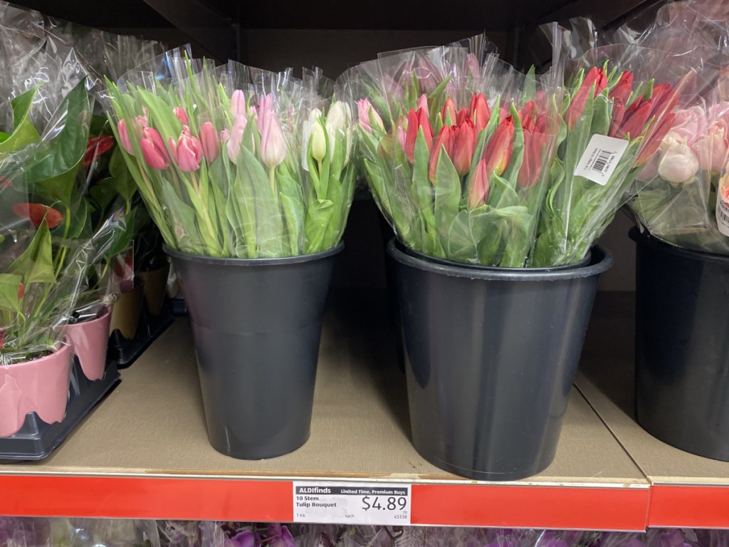 Valentine's Day Bouquets, Plants & Succulents from $3.99 at ALDI