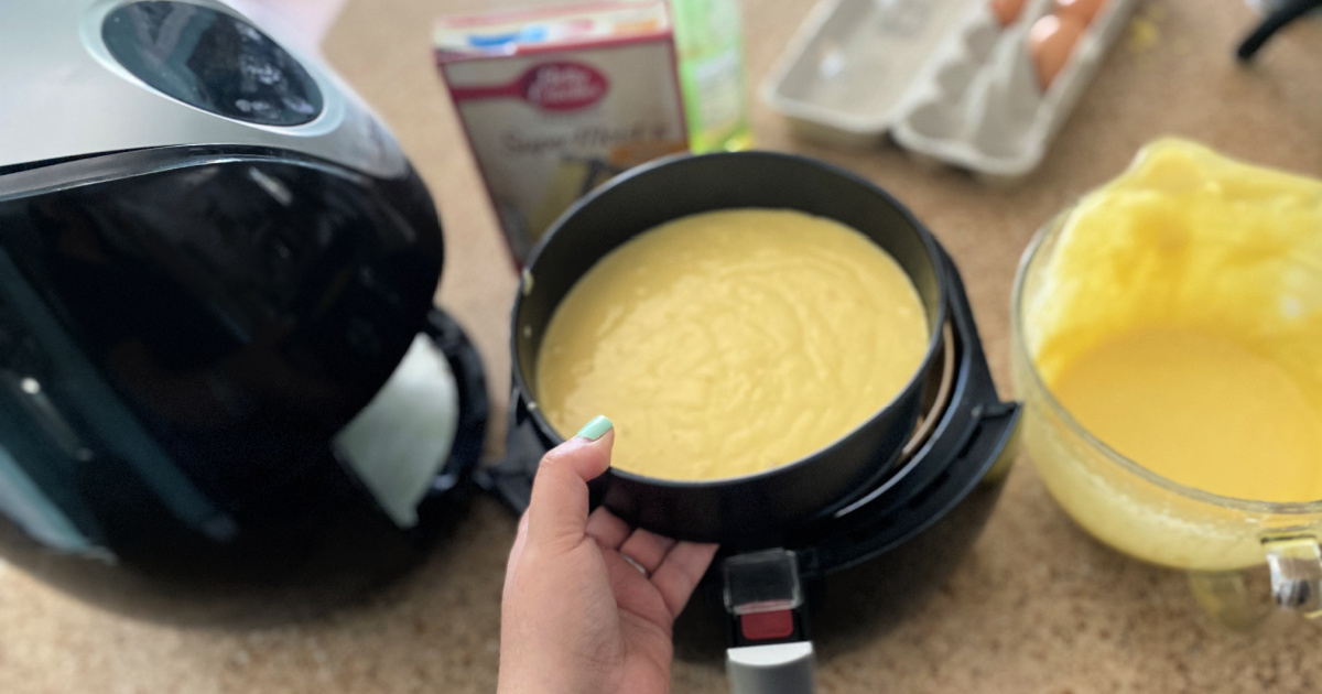 You Can Totally Make Air Fryer Cake! Who Knew?! | Hip2Save