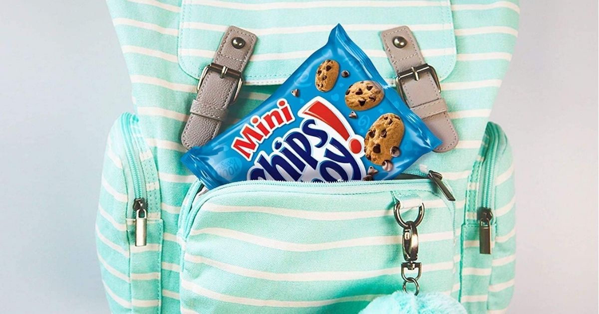 Nabisco Snack Variety Packs as Low as $13.56 Shipped on Amazon