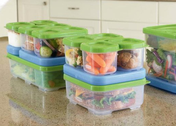 6 Popular Bento Lunchbox Options for All Ages and Meals! | Hip2Save