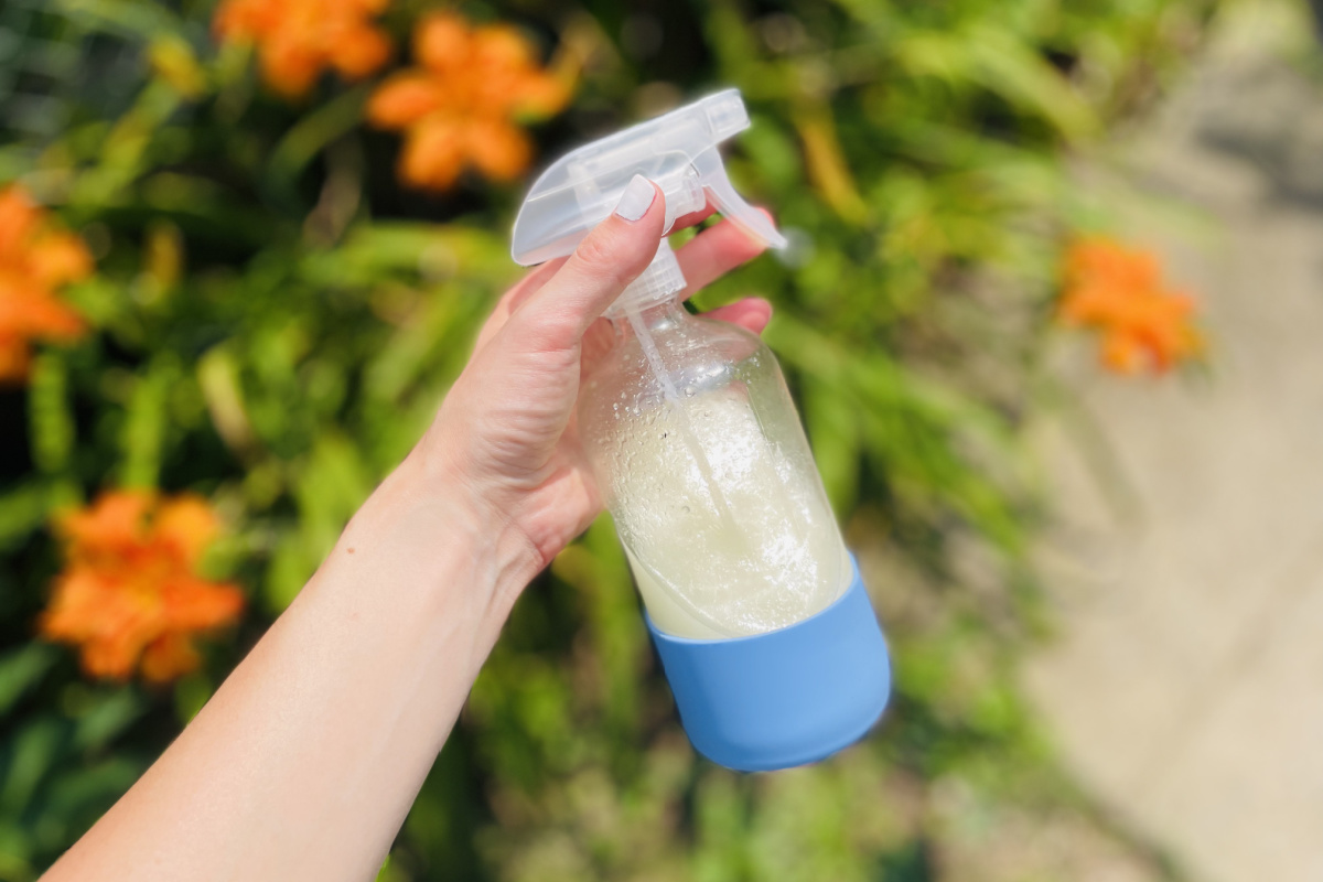 Easy Homemade Bug Spray That Actually Works! | Hip2Save