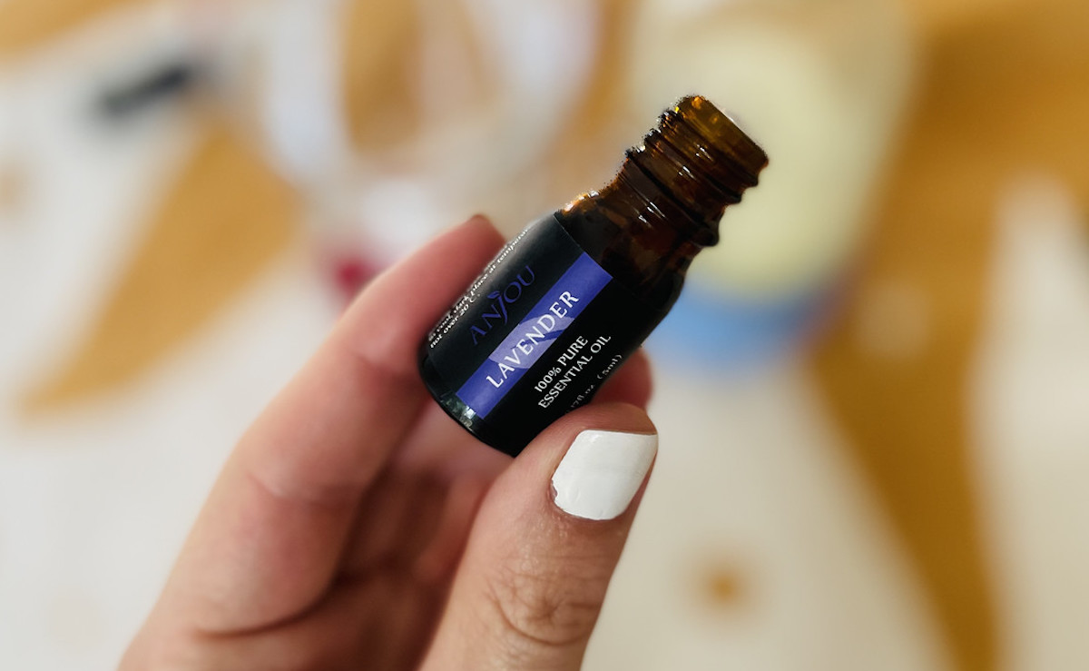 Easy Homemade Bug Spray That Actually Works! | Hip2Save