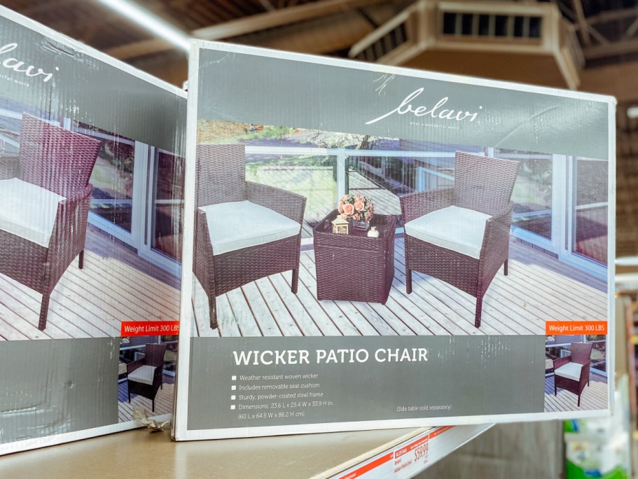 Outdoor Finds from $12.99 at ALDI | Potted Plants, Adirondack Chair, 2 ...