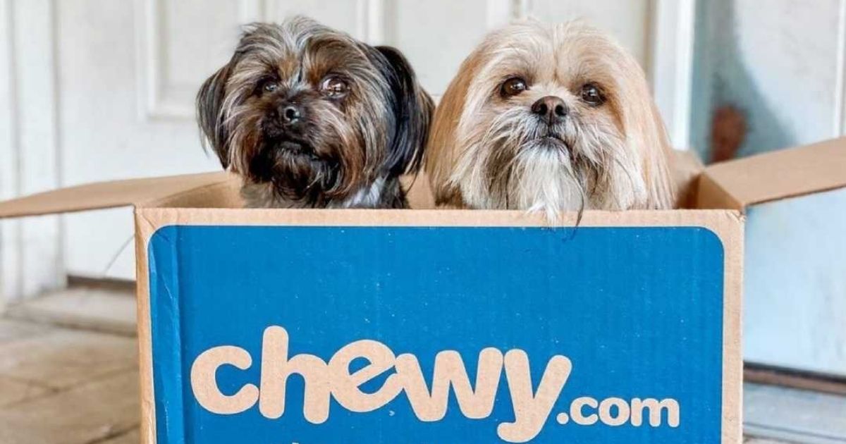 Up to 60% Off Chewy Cyber Monday Sale | Save on Pet Treats, Toys, Food ...
