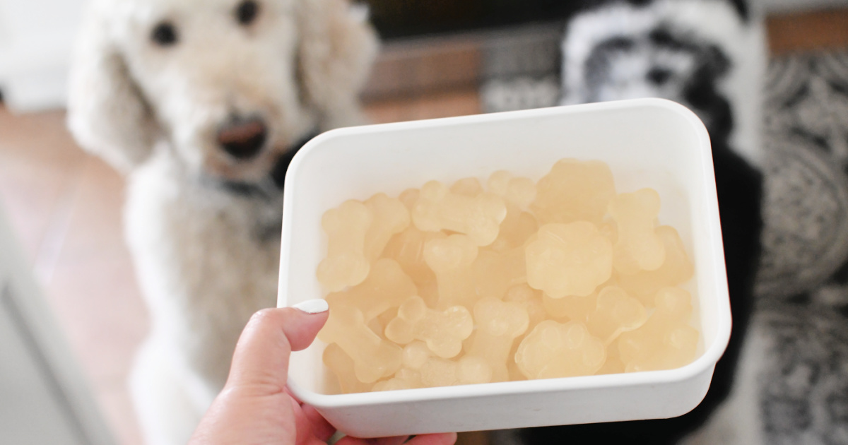 These Frozen Dog Treats Require Just One Ingredient | Hip2Save