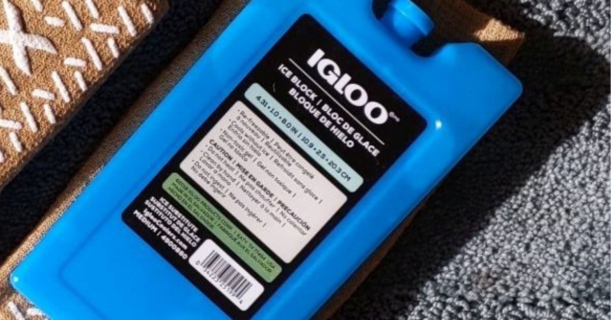 Igloo Reusable Ice Block JUST 98¢ on Amazon | Perfect for Picnics ...