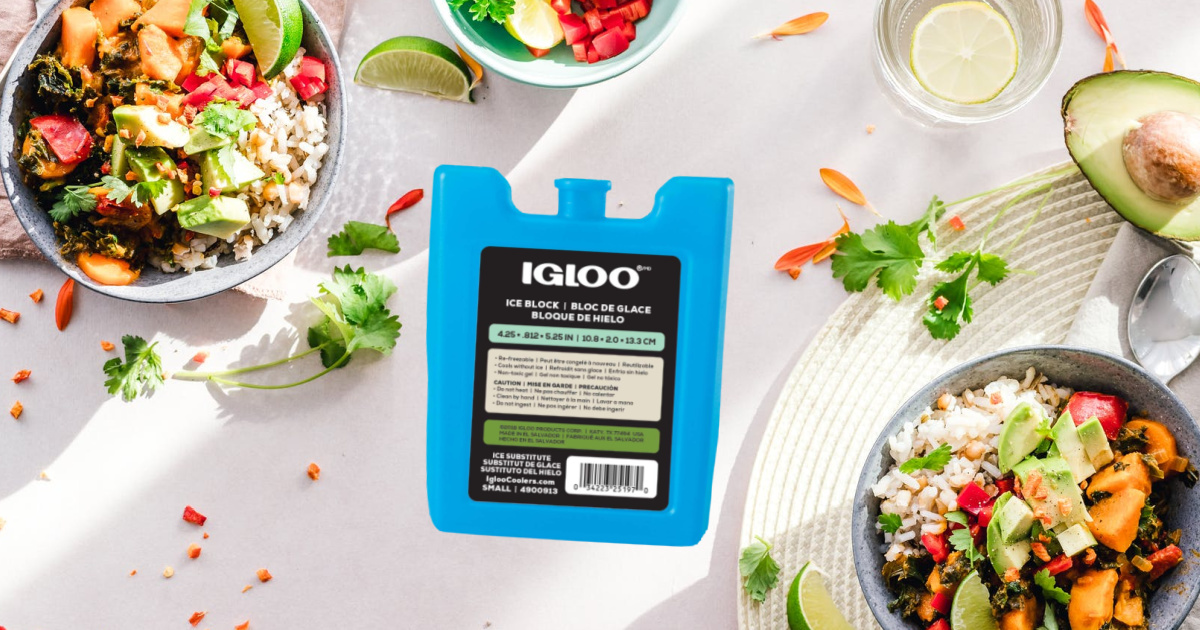 Igloo Ice Block Only 98¢ on Amazon | Remains Cold for Hours | Hip2Save