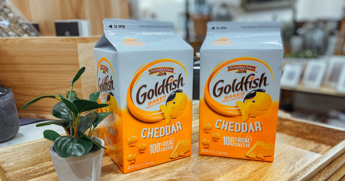 Goldfish Crackers Cartons 2-Pack Just $10 Shipped on Amazon (ONLY $5 ...