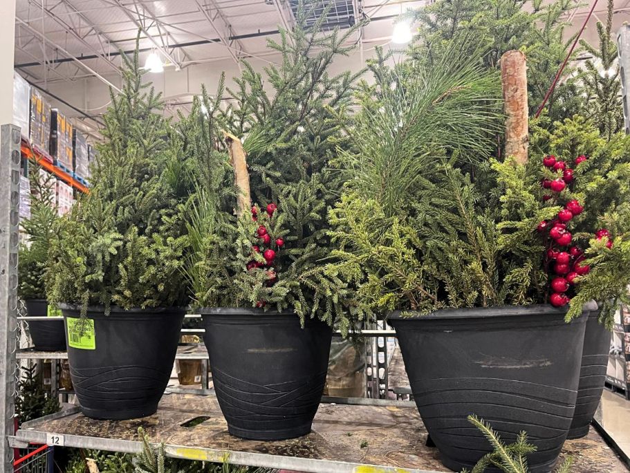 HUGE 28" Costco Wreath ONLY $19.99 + More Holiday Greenery Finds ...