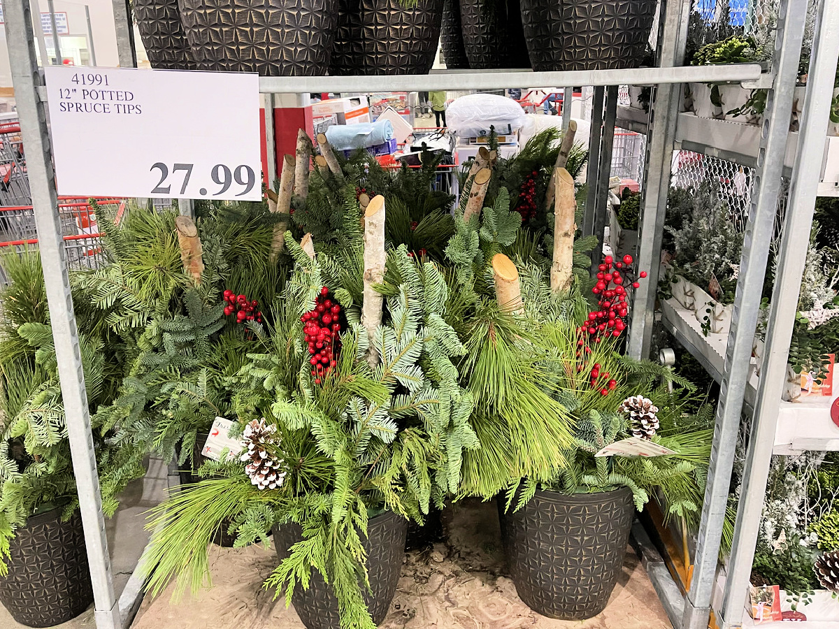 Huge Wreath Only $18.99 at Costco + More Fresh Greenery Deals | Hip2Save