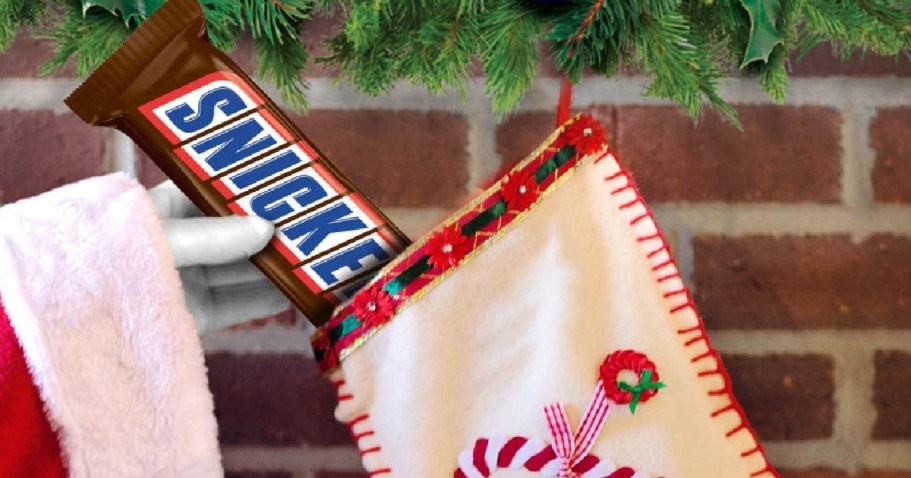 Giant Snickers 1-Pound Candy Bar Only $9.98 Shipped on Amazon (Fun ...