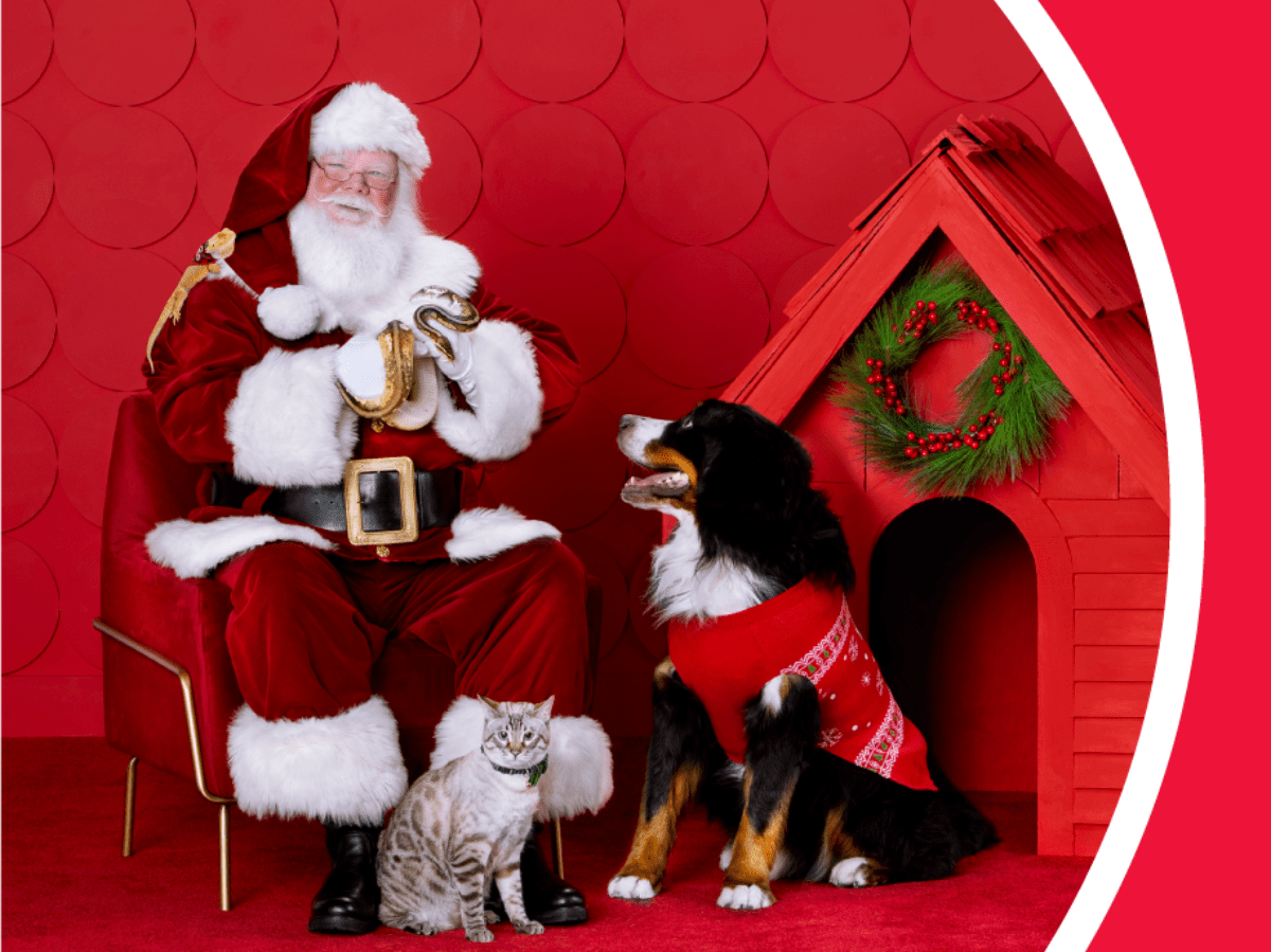 PetSmart FREE Photo with Santa on December 14th & 15th (Make ...