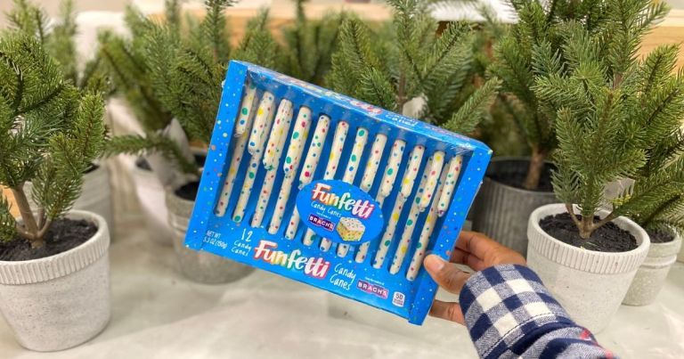 Funfetti Birthday Cake-Flavored Candy Canes Available Now at Walmart ...