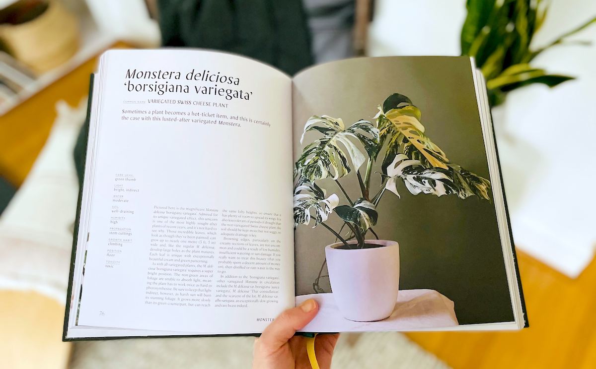 15 Best Coffee Table Books That Look as Good as They Are to Read
