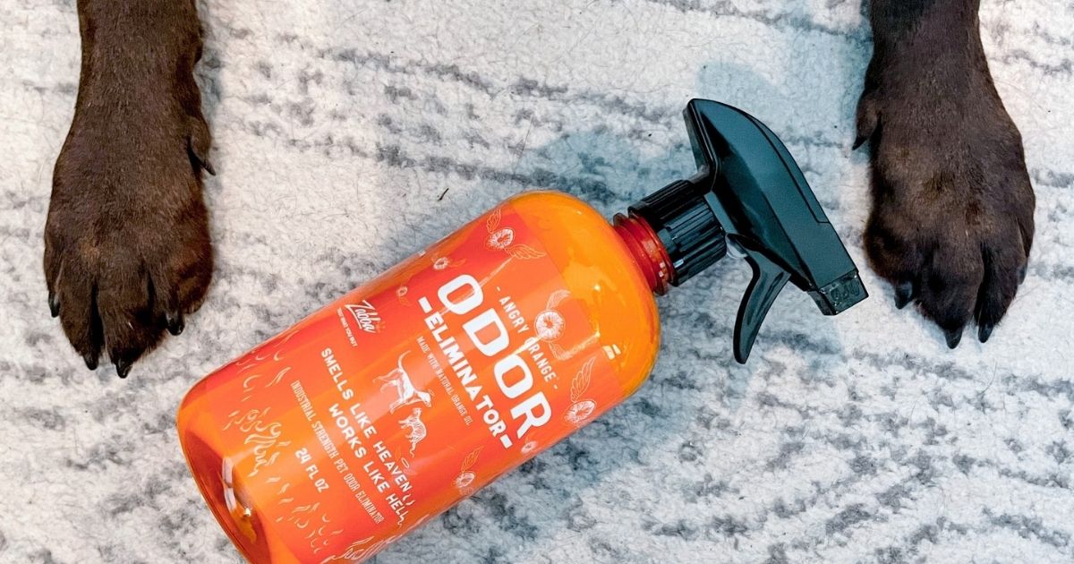 Angry Orange Pet Odor Eliminator Only $12 Shipped on Amazon | Hip2Save