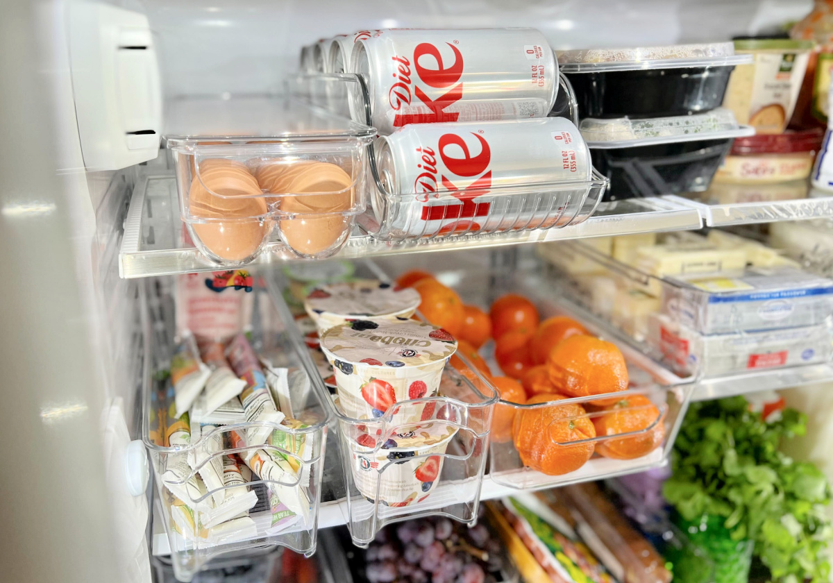 Orgo Mini Fridge Only $59.50 Shipped on Walmart.com (Regularly $120 ...