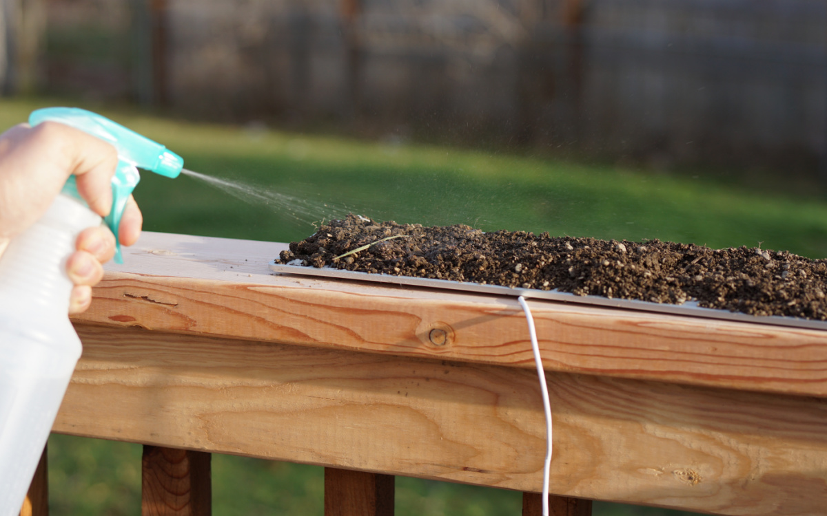Short On Space? Here's How to Grow Your Own Keyboard Garden! | Hip2Save