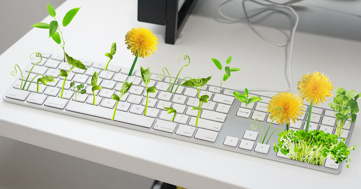 Short On Space? Here's How to Grow Your Own Keyboard Garden! | Hip2Save