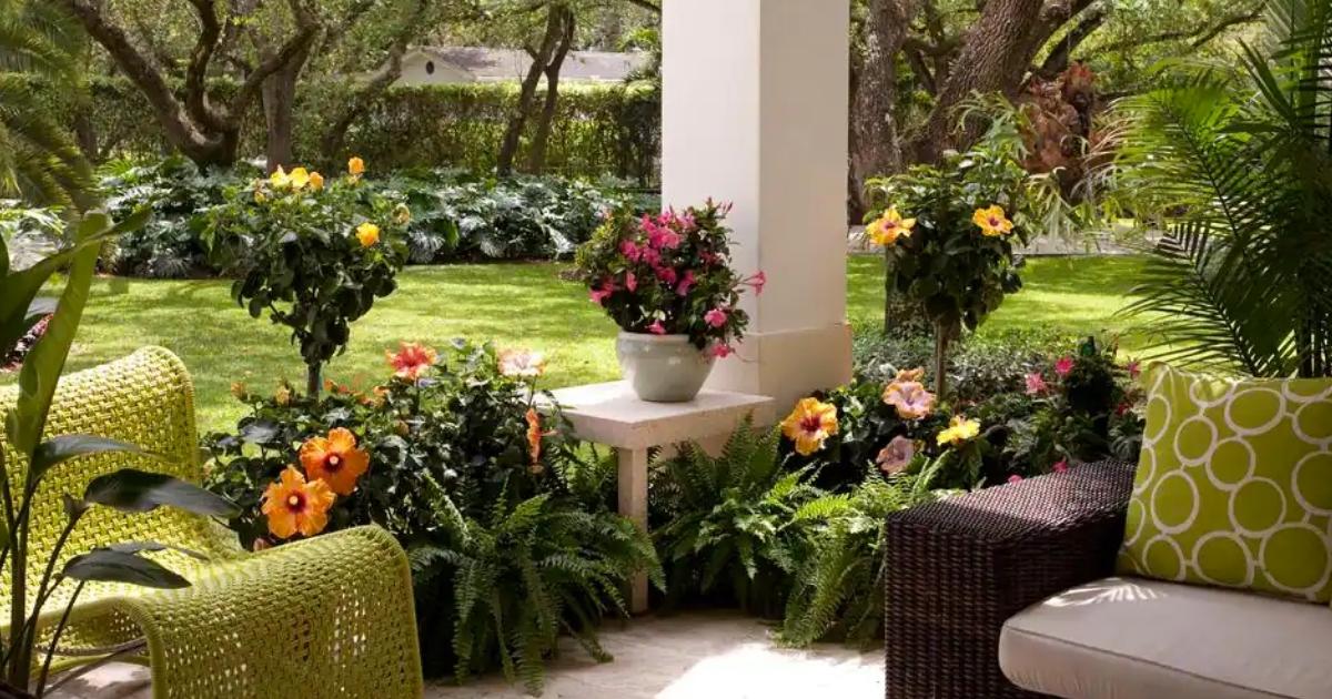 Score Live Plants from $27.98 Shipped on Home Depot.com