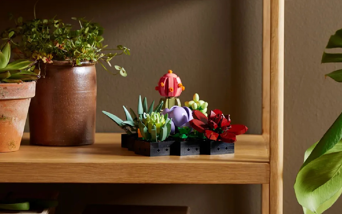 LEGO Succulents Join the Botanical Collection - Available May 1st!