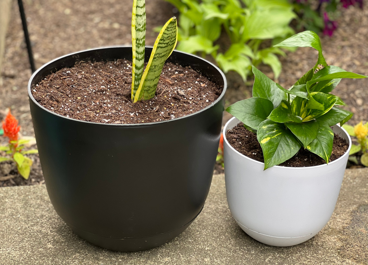 I Tried and LOVED Target's Popular Self-Watering Planters