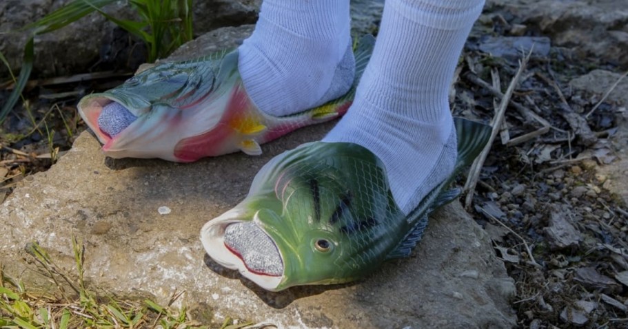 They're Back: Fish Sandals Only $11.97 at Bass Pro Shops (Tuck Away for ...