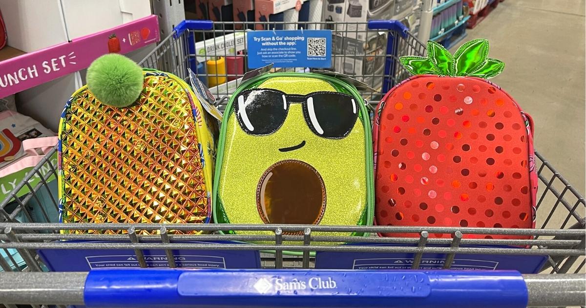 These Kids Lunch Kits Are Only $16.98 on SamsClub.com | Avocado ...