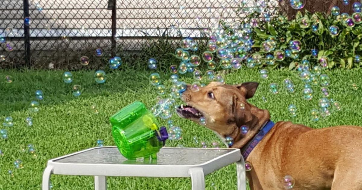 Gazillion Bubbles Hurricane Machine Only $6.44 on Amazon or Walmart.com ...