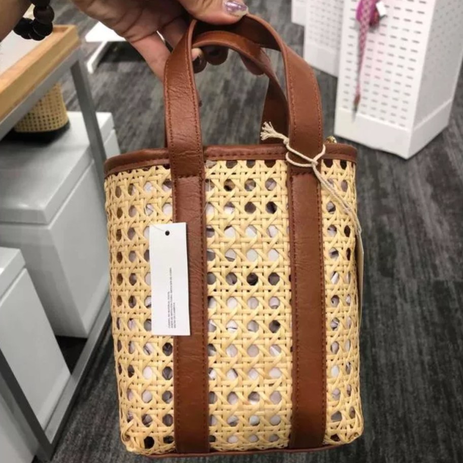 Caning Mini Tote Just $14 at Target (Designer Look for $100 Less ...