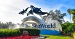 Get FREE SeaWorld Military Tickets Through Waves Of Honor