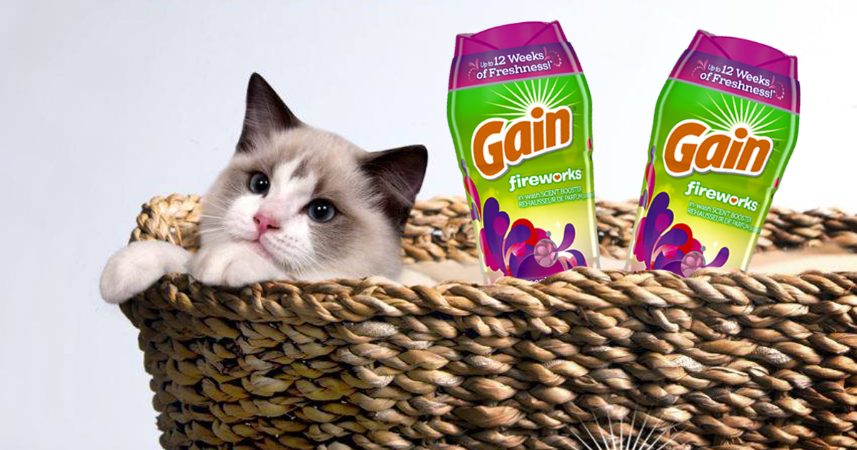 Gain Fireworks Scent Booster 20oz Bottle Just $8.44 Shipped on Amazon